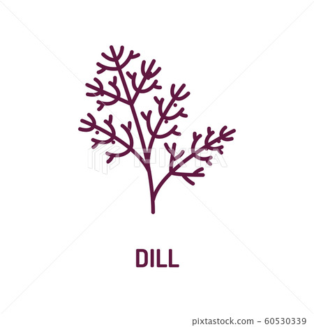Dill color line icon. Greenery sign. Natural - Stock Illustration ...
