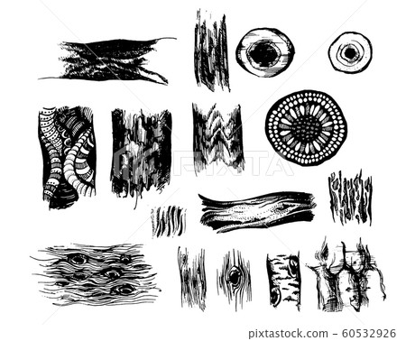 Vector Hand drawn sketch of abstract wood... - Stock Illustration ...