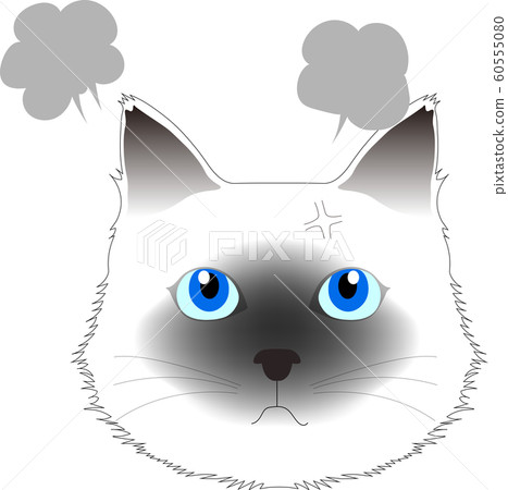 Angry Siamese cat - Stock Illustration [60555080] - PIXTA