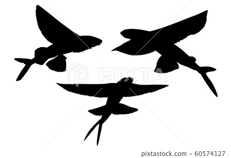 Animal silhouette sea and river flying fish - Stock Illustration ...