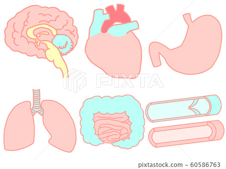 Organ set (pastel) - Stock Illustration [60586763] - PIXTA