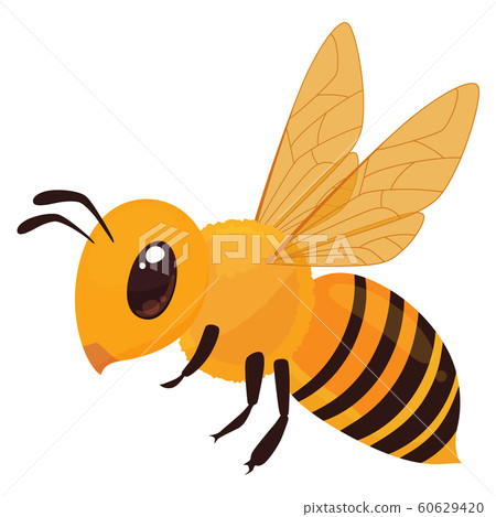 Bee illustration - Stock Illustration [60629420] - PIXTA
