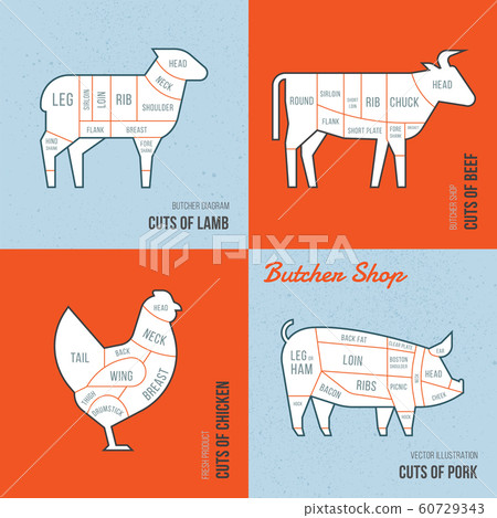 Set a schematic view of animals for the butcher... - Stock Illustration ...