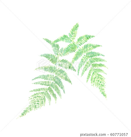 Urajiro back white watercolor material - Stock Illustration [60771057 ...