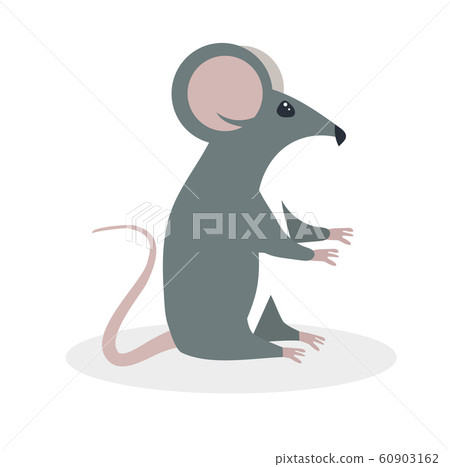 Cute Brown Rat Vector Illustration - Stock Illustration [60903162] - PIXTA