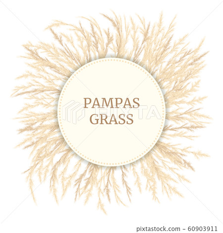 Silver golden Pampas grass Card template with copy - Stock Illustration ...