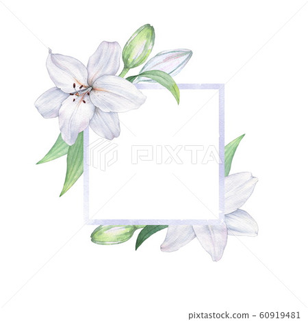 Frame of white lilies. Watercolor illustration.... - Stock Illustration ...
