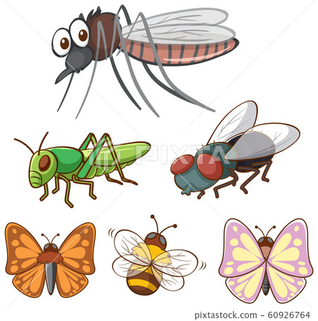Isolated picture of many bugs - Stock Illustration [60926764] - PIXTA