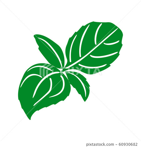 basil cartoon isolated flat on white background - Stock Illustration ...