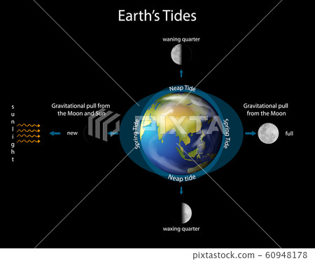 Diagram showing earth tides with earth and moon - Stock Illustration ...