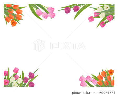 Tulip frame - Stock Illustration [60974771] - PIXTA
