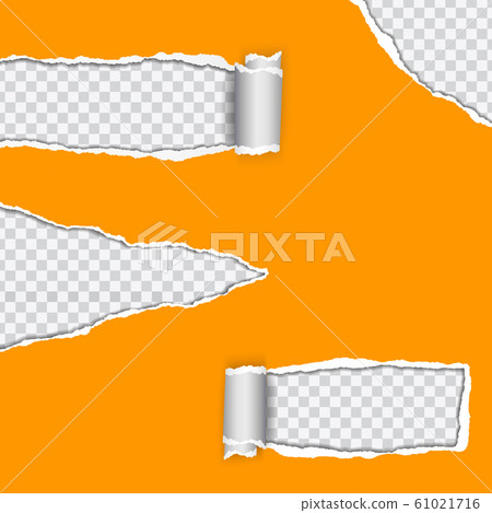 Set vector realistic illustration of orange torn - Stock Illustration ...