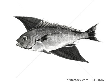 Isaki Isagi Bamboo Watercolor Ink Painting... - Stock Illustration ...