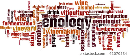 Enology word cloud - Stock Illustration [61070384] - PIXTA