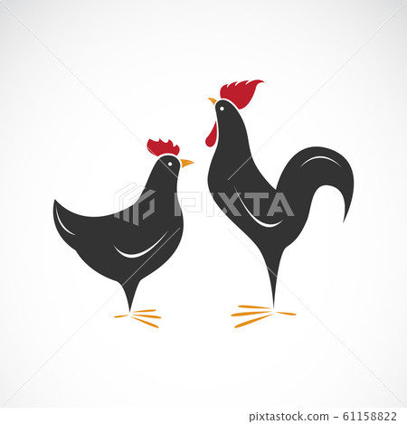 Vector of male and female chickens design.-插圖素材 [61158822] - PIXTA圖庫