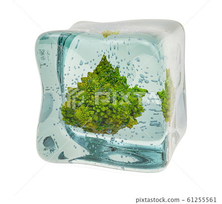 Romanesco broccoli frozen in ice cube - Stock Illustration [61255561 ...