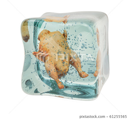 Raw chicken frozen in ice cube, 3D rendering - Stock Illustration ...