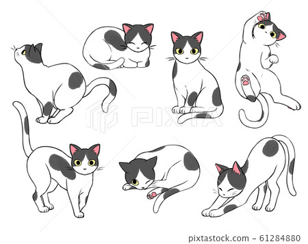 Buchi cat pose - Stock Illustration [61284880] - PIXTA