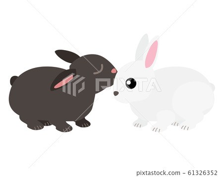 Illustration of two rabbits - Stock Illustration [61326352] - PIXTA