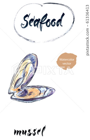 Opened mussel, clam, seafood. Hand drawing of... - Stock Illustration ...
