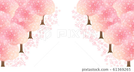 Sakura spring flower background - Stock Illustration [61369265] - PIXTA