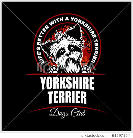 Yorkshire Terrier - vector illustration for... - Stock Illustration ...