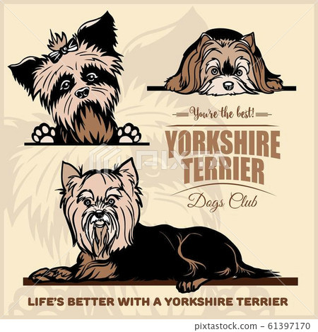 Yorkshire Terrier - vector set for t-shirt,... - Stock Illustration ...