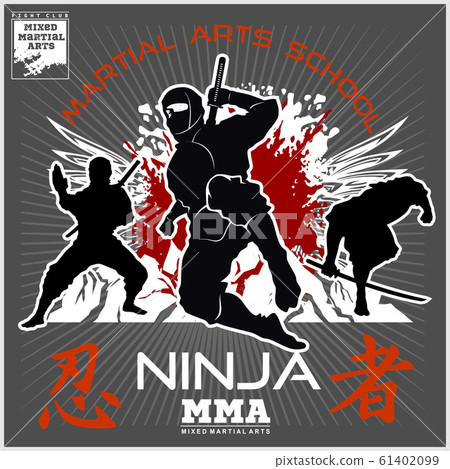 Ninja Warrior Fighter - Mixed Martial Art - Stock Illustration ...