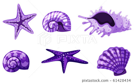 Set of isolated seashells in purple colors - Stock Illustration ...