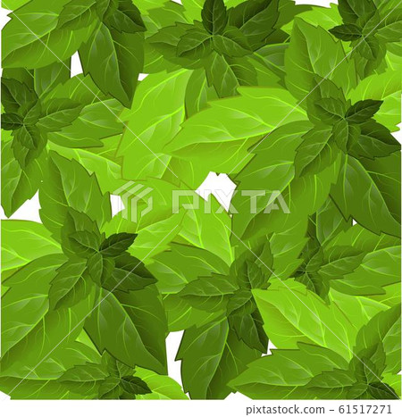 Forest foliage. Leaf texture. Green leaves frame - Stock Illustration ...