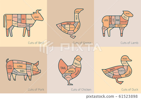 Vector illustration of meat cutting of farm... - Stock Illustration ...