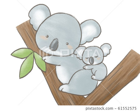Koala parent and child - Stock Illustration [61552575] - PIXTA