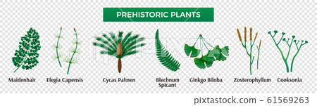 Prehistoric Flora Plants Set - Stock Illustration [61569263] - PIXTA