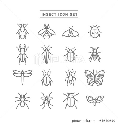bug, hexapod, insect - Stock Illustration [61610659] - PIXTA