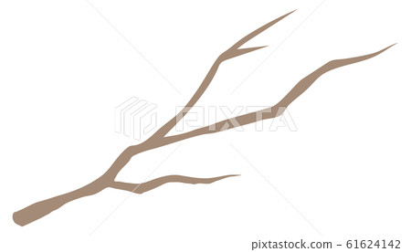 branch - Stock Illustration [61624142] - PIXTA