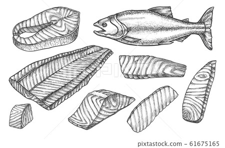 Sketch icons of salmon fish cut, filet and steaks - Stock Illustration ...