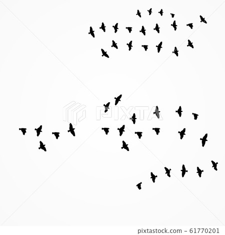 birds on white background, birds icon,vector - Stock Illustration ...