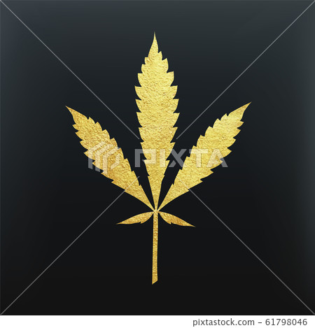 Gold cannabis leaf vector - Stock Illustration [61798046] - PIXTA