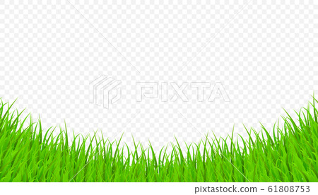 Green Grass Elements on Transparent Background. - Stock Illustration ...