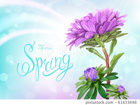 Spring collection background - Stock Illustration [61833698] - PIXTA
