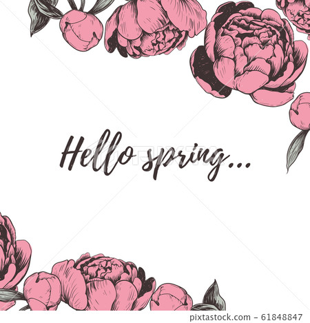 Hello spring lettering Peony vector illustration. - Stock Illustration ...