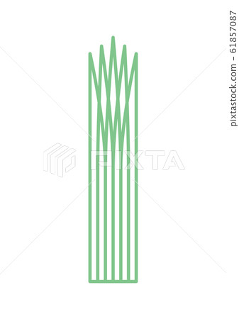 Chive line drawing - Stock Illustration [61857087] - PIXTA
