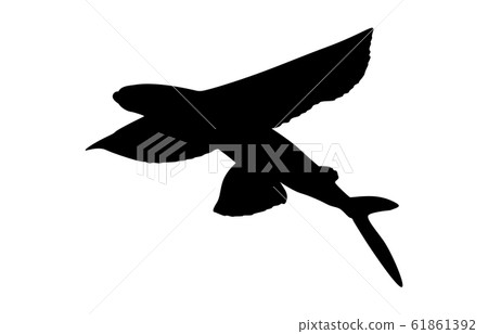 Animal silhouette sea and river flying fish 2 - Stock Illustration ...