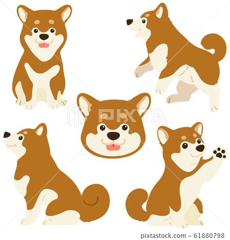 Shiba Inu in various poses Set No outline - Stock Illustration ...
