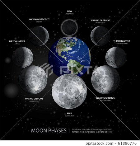 Movements of the Moon Phases Realistic Vector... - Stock Illustration ...