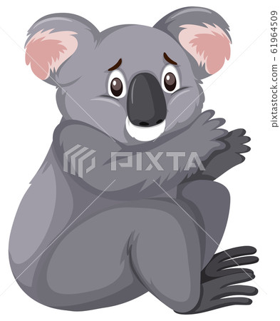 Sad looking koala on white background - Stock Illustration [61964509 ...