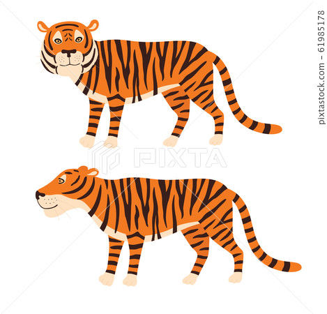 Tiger stand, vector illustration isolated on... - Stock Illustration ...