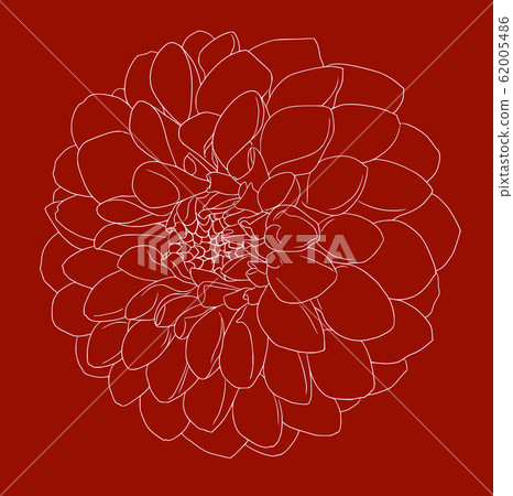 Flower illustration red background white line - Stock Illustration ...
