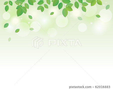 Fresh green background message card - Stock Illustration [62016883] - PIXTA
