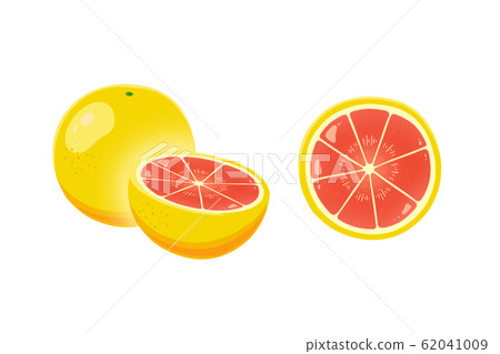 Grapefruit cartoon - Stock Illustration [62041009] - PIXTA